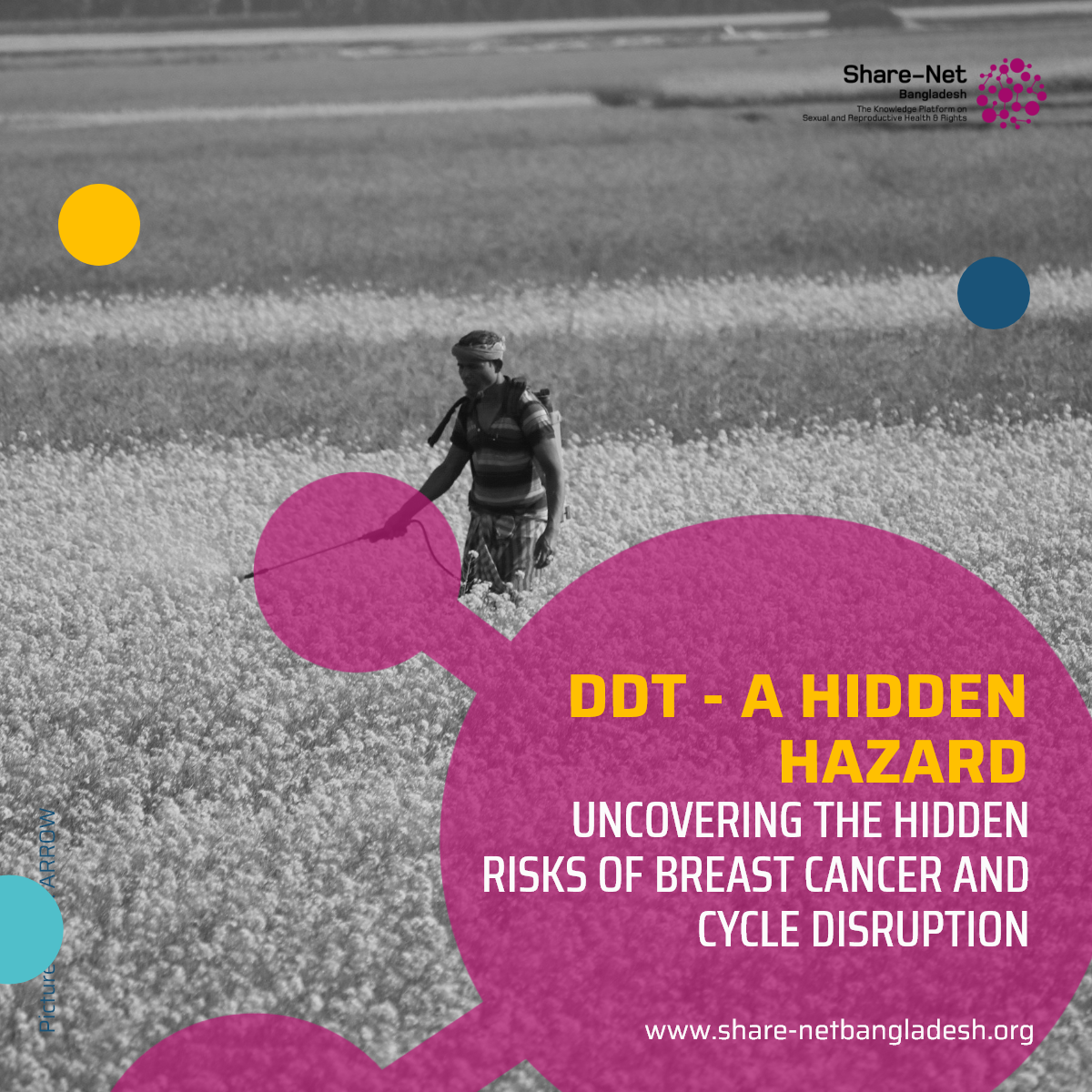 Impact of DDT on women's health in Bangladesh: escalating breast cancer ...